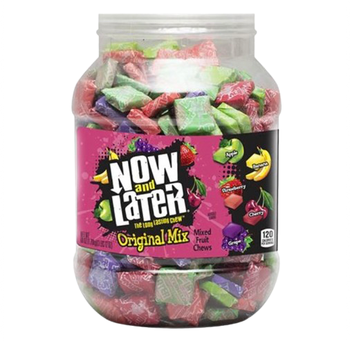 Ferrara Now & Later – Dojo Basics By Daily Dojo